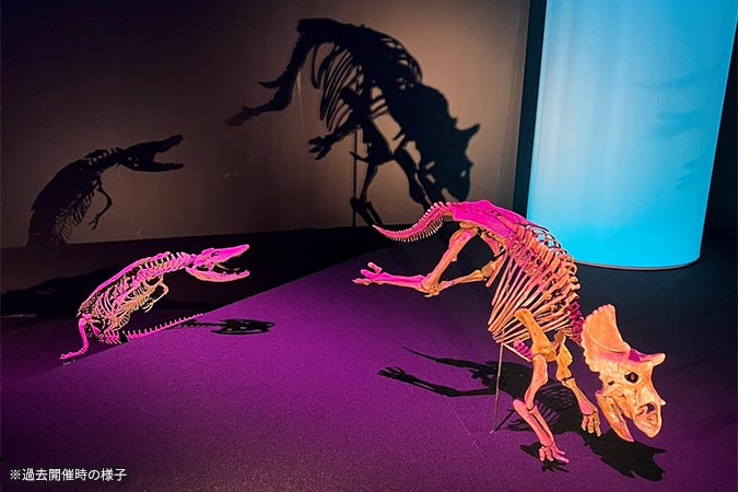 DinoScience 恐竜科学博 ~ララミディア大陸の恐竜物語~ 2024@OSAKA | TVO テレビ大阪