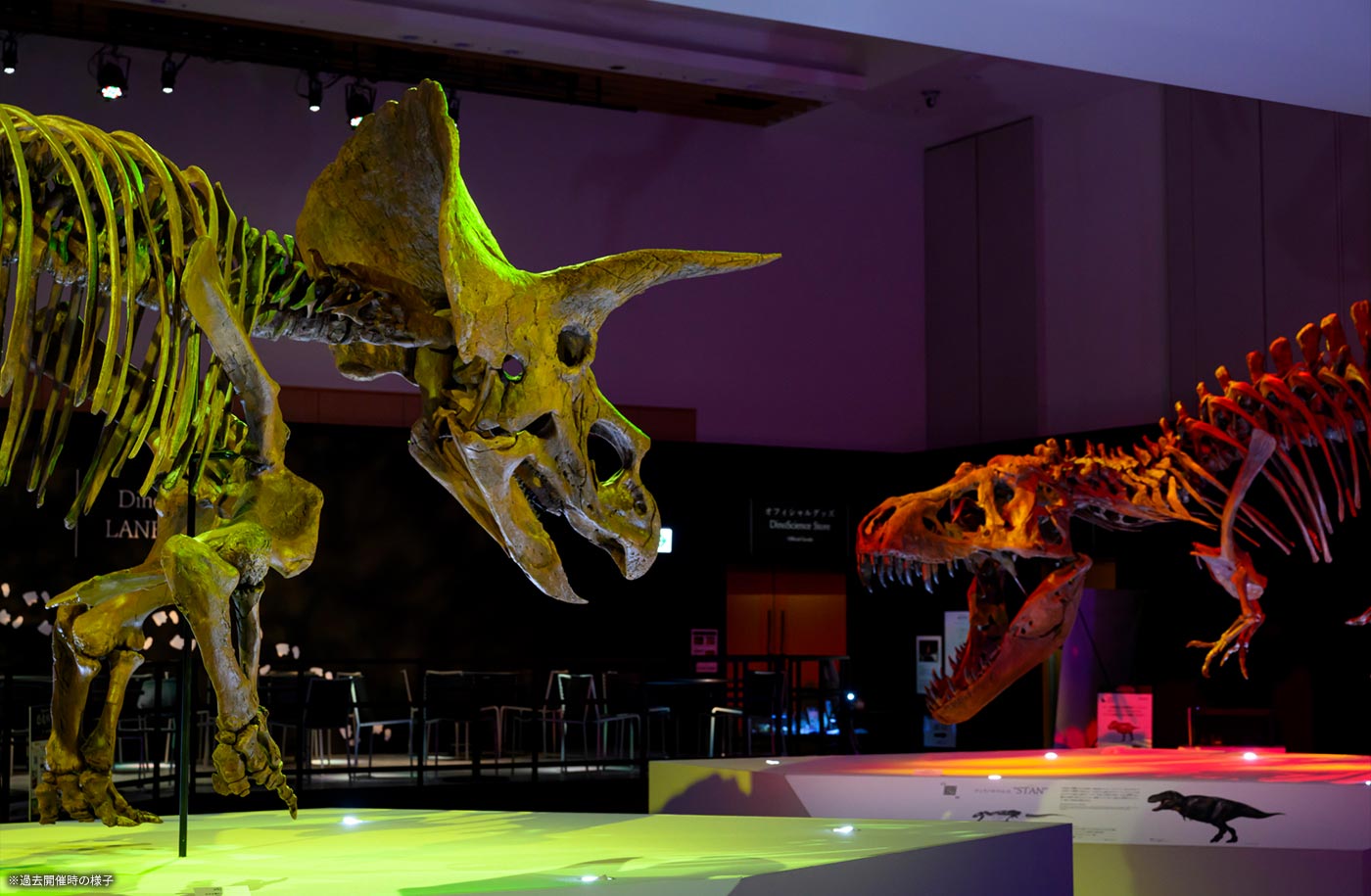 DinoScience 恐竜科学博 ~ララミディア大陸の恐竜物語~ 2024@OSAKA | TVO テレビ大阪